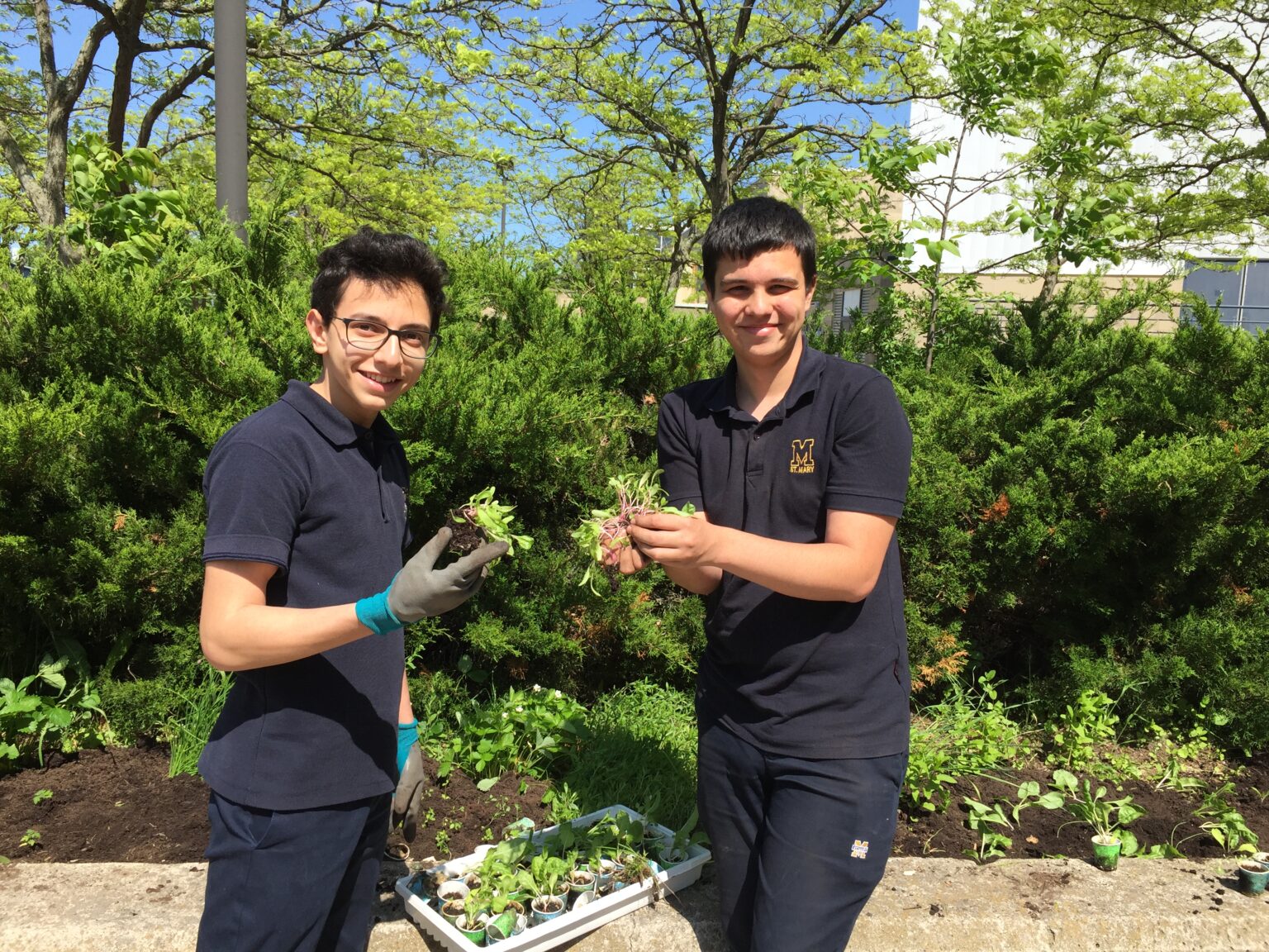 Resources – LSF-LST